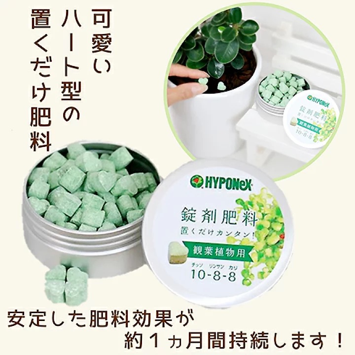 Choose the right fertilizer for our plants!