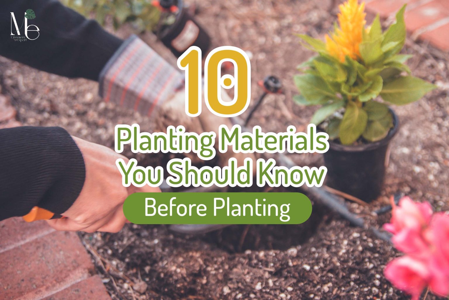 10 Planting Materials You Should Know Before Planting